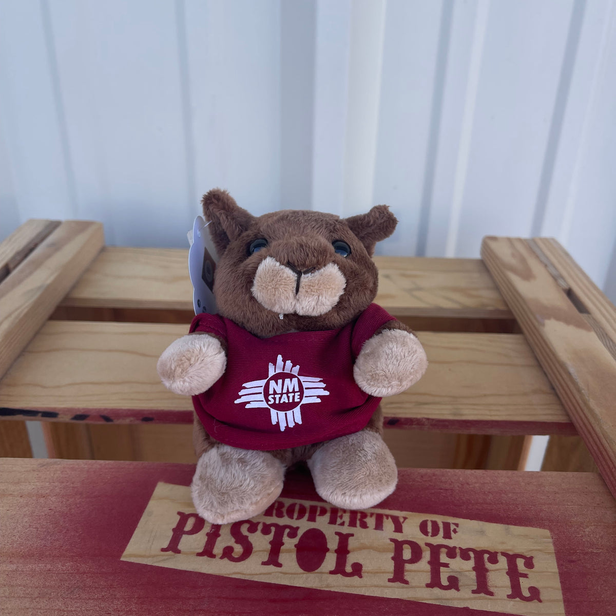 5" NM State Plush Pal – Sports Accessories Inc